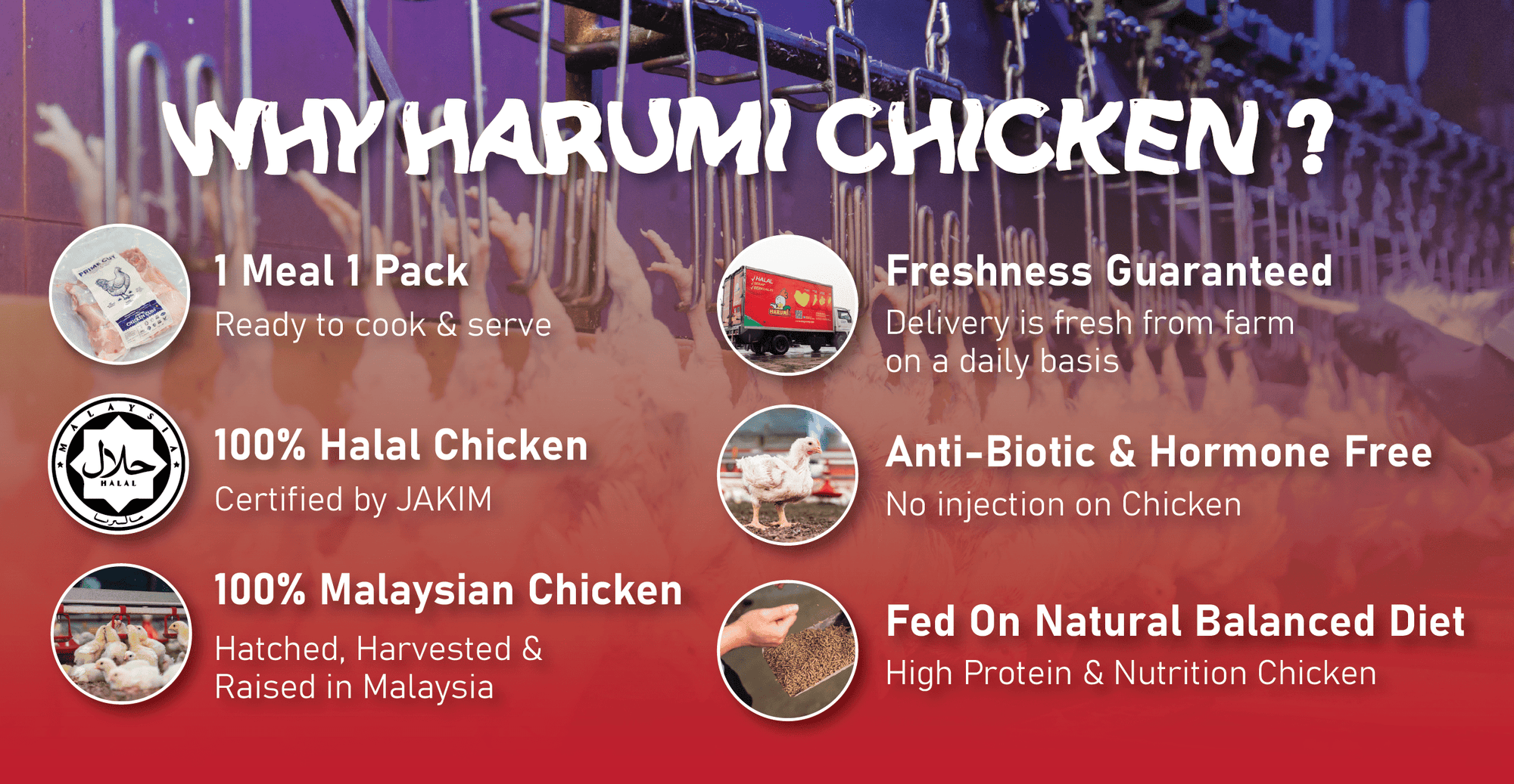 Halal Fresh Chicken Delivery in KL - Quality and Convenience
