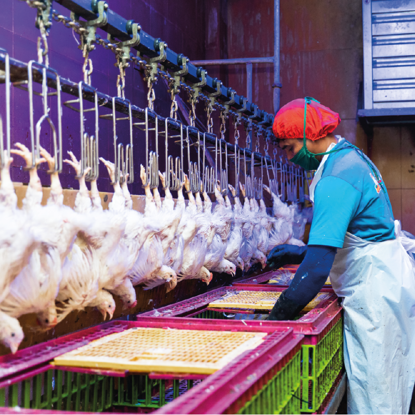 Halal Processing
