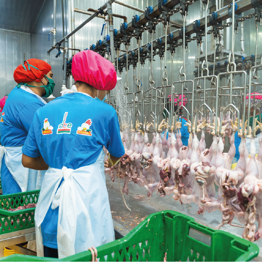 Halal Processing