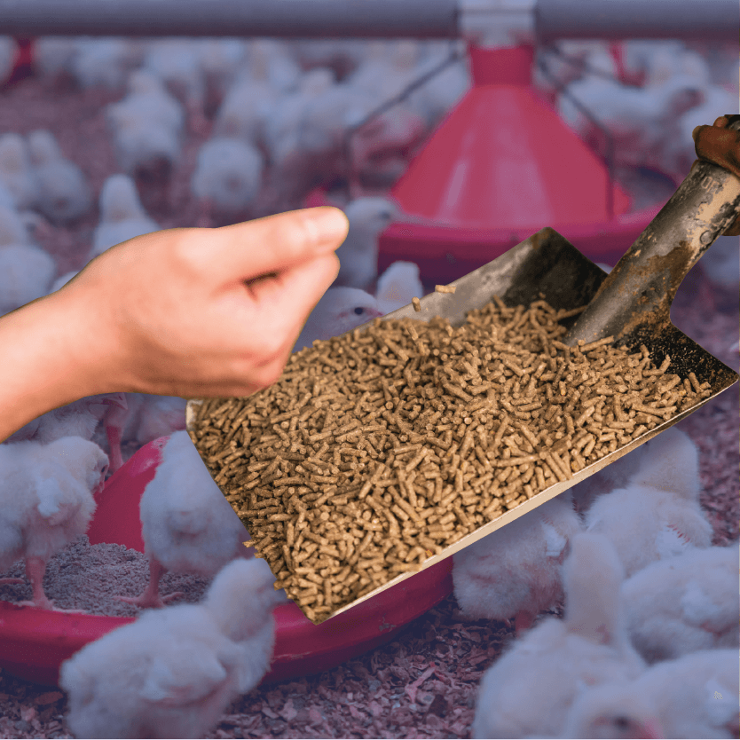 Harumi Kitchen : Fresh From Farm To Your Doorstep – harumikitchen